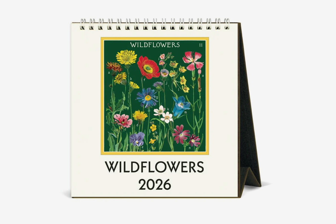 Cavallini 2026 Desk Calendar - Wildflowers – Flywheel