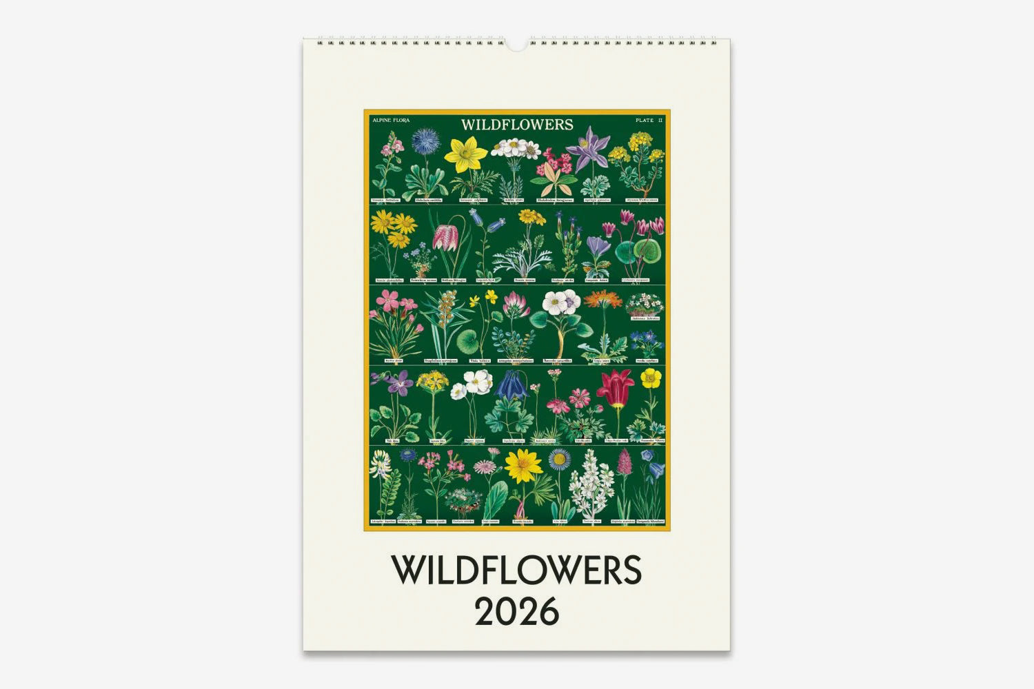 Cavallini 2026 Wall Calendar - Wildflowers – Flywheel