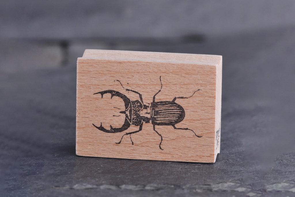Stempel Jazz Rubber Stamp - Stag Beetle – Flywheel