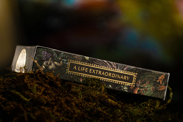 Playing Cards - Extinct Animals – Flywheel