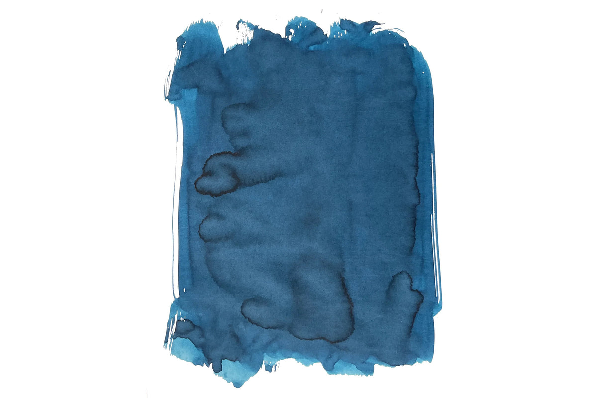 Van Dieman's Ink Fountain Pen Ink - Blue Jay Wing – Flywheel